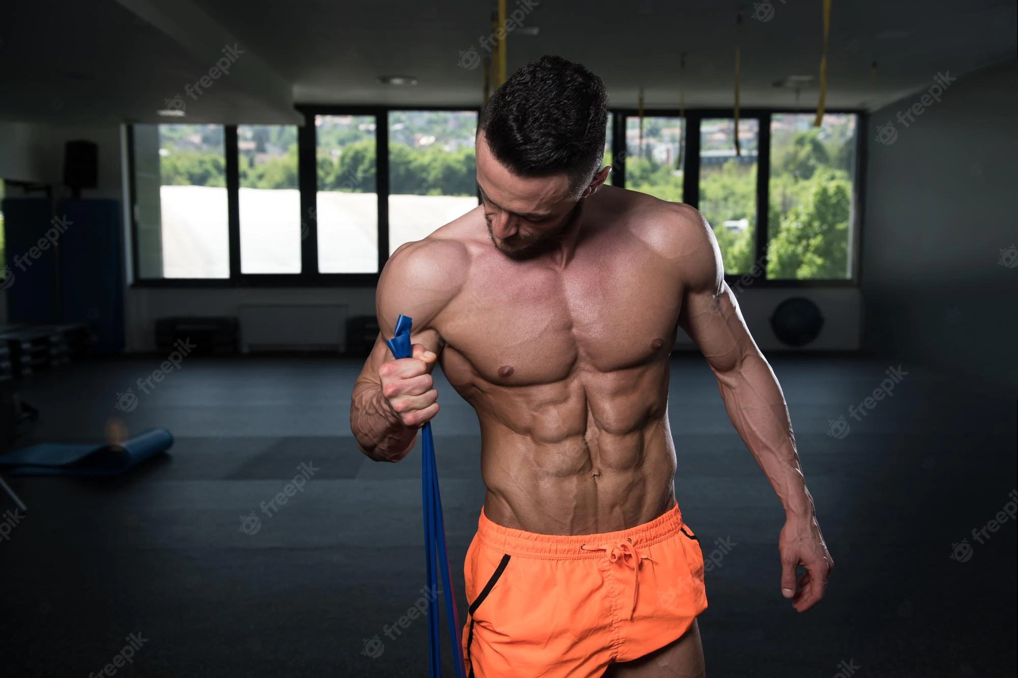 Shin exercises bodybuilding for bodybuilders - Droidoo